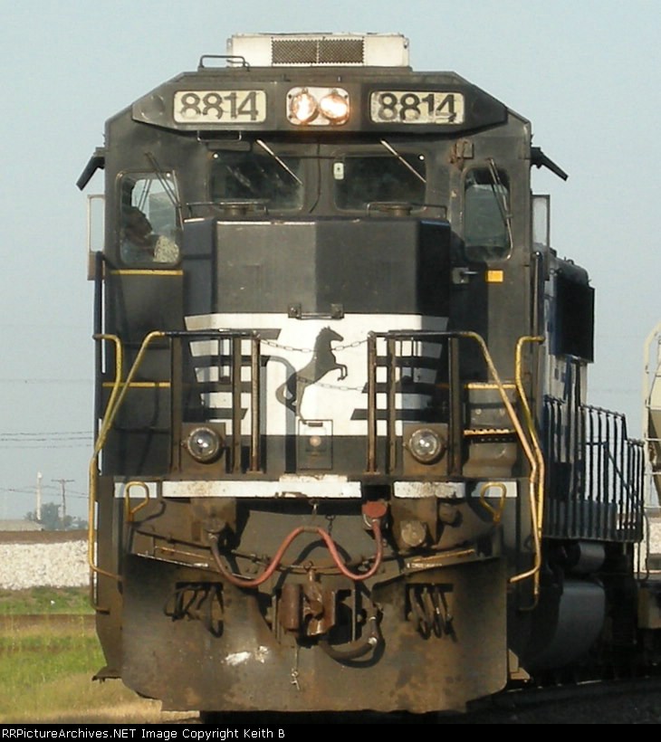 NS 8814